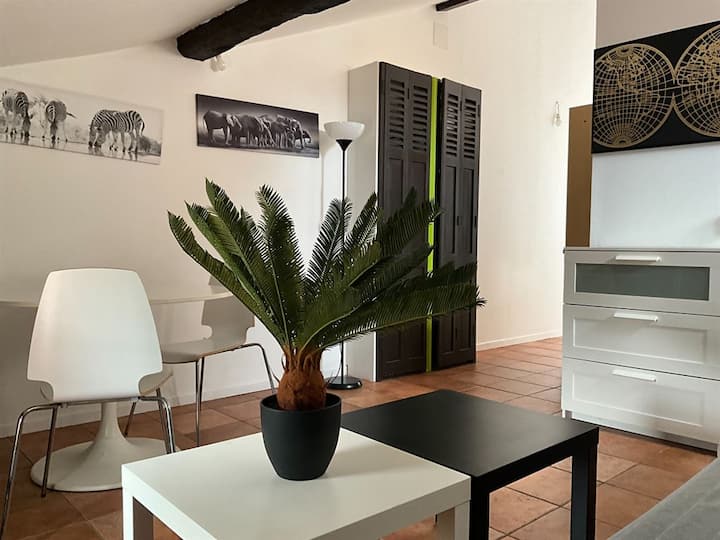 Centre Ville Lavaur Studio Meublé Avec Ascenseur - Lavaur