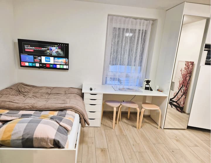 Lively Zürich Studio Haven - Zürich