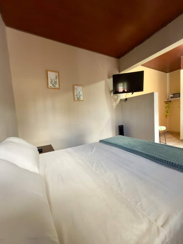 Downtown Renovated Loft In A Traditional Building - 테구시갈파