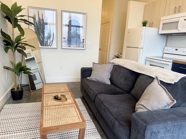 Downtown Modern Loft/fast Wifi/gym/ Gated Parking - Jonesboro, AR