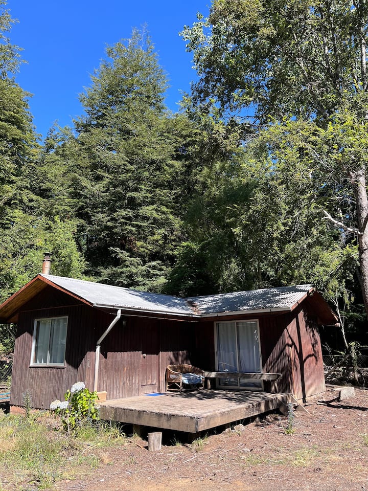 Cabaña En Medio De La Naturaleza - Pucon
