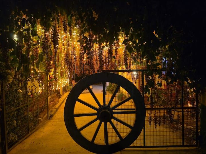 Serene Farm Estate With House @ Chikmagalur - 