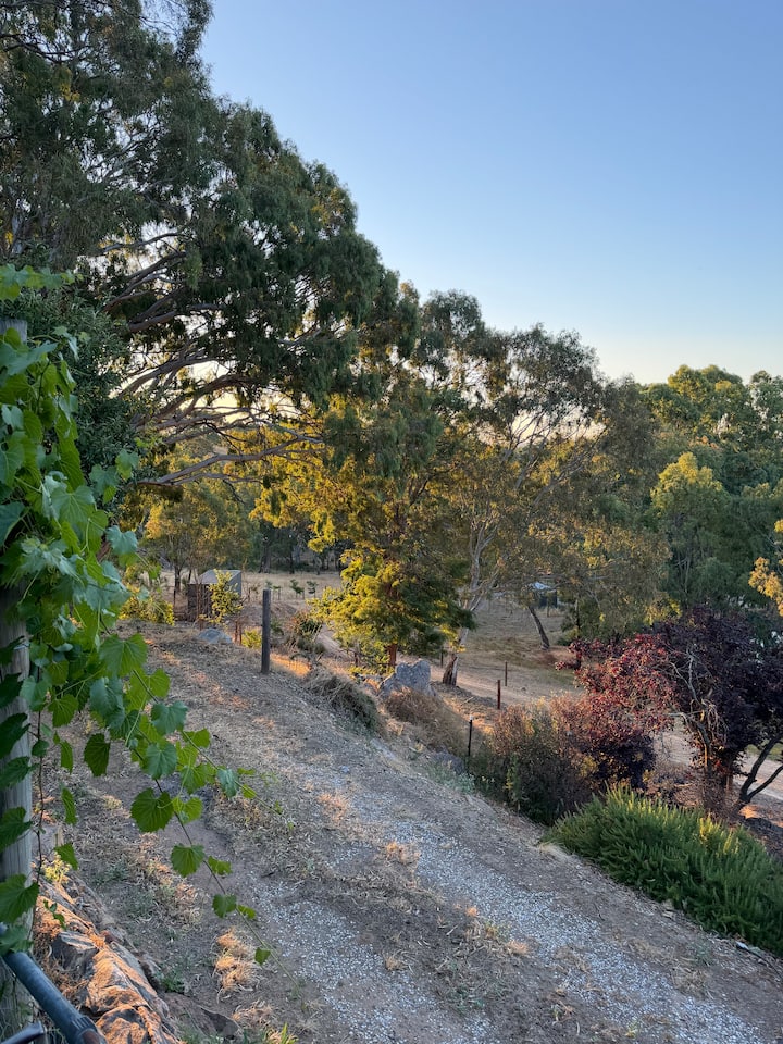 A Little Bit Country - Birdwood