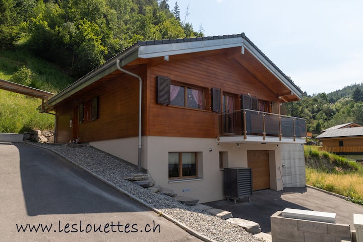 Chalet 10 Personnes En Valais (Suisse) - Ovronnaz