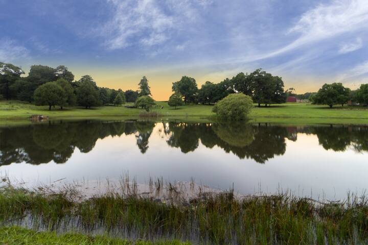 Elgin Farm Dullstroom - Dullstroom