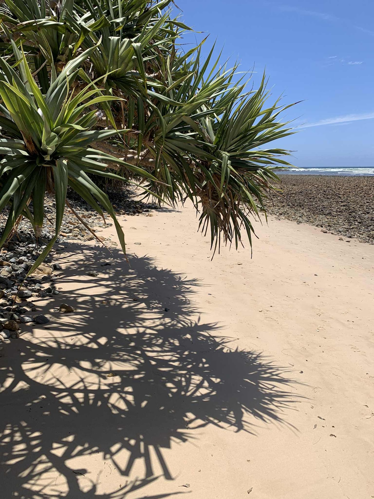 Pandanus - Cabins for Rent in Brooms Head, New South Wales, Australia ...