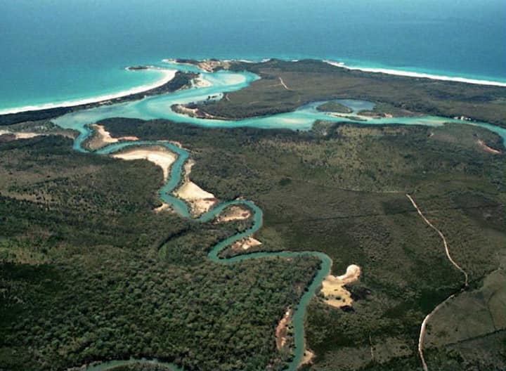 Pandanus 
Sandon River Road 
Brooms Head 2463 - Brooms Head