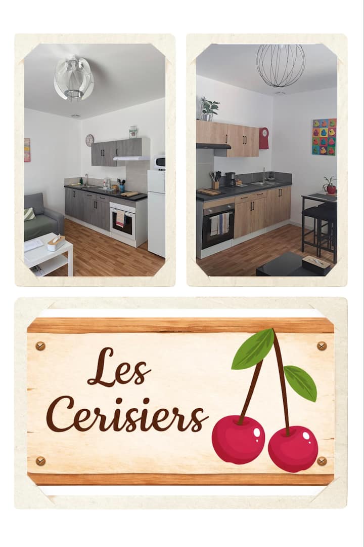 2 Logements Attenants-idéal éQuipe/amis-t2+parking - Dole