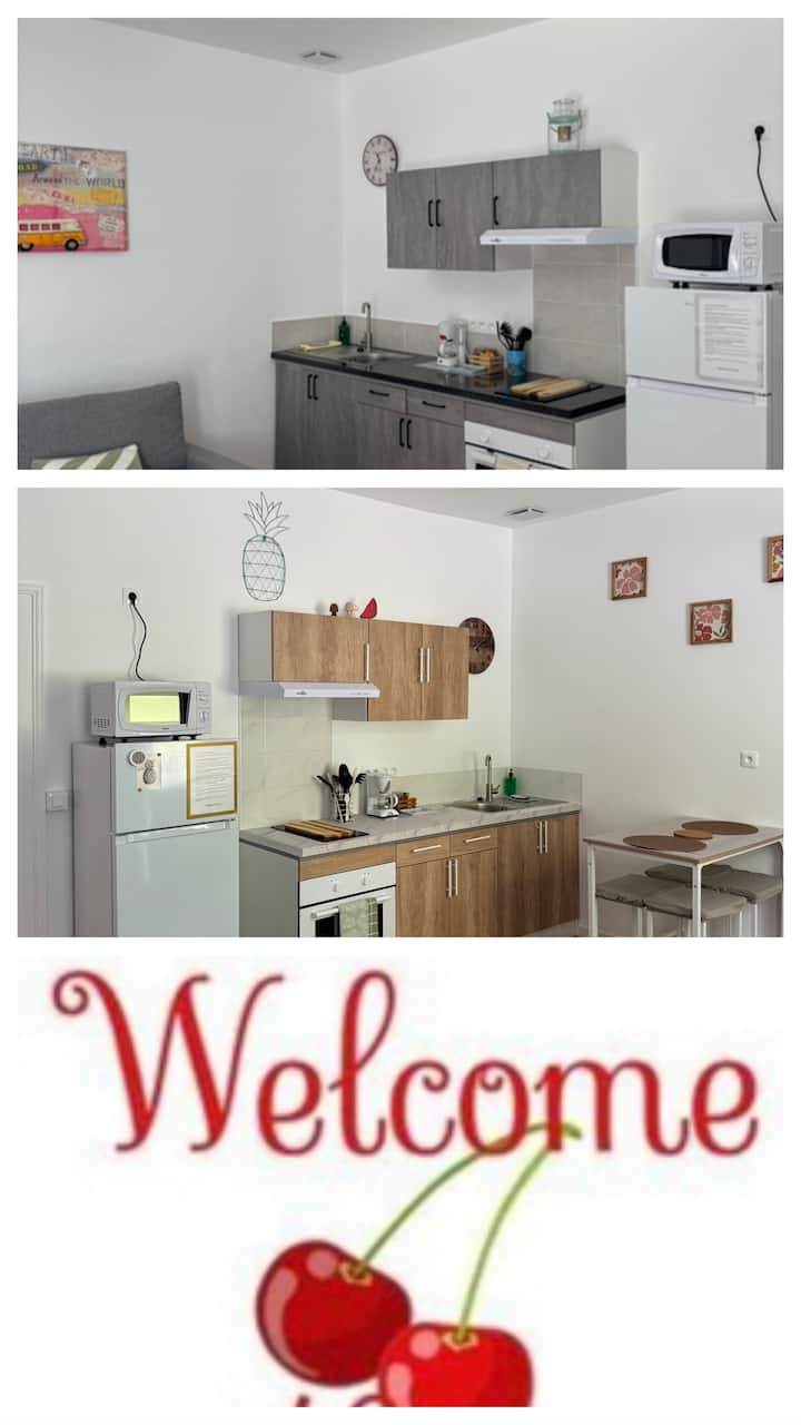 Les Cerisiers {Mb4}et {Mb5} Lumineux/parking Privé - Dole