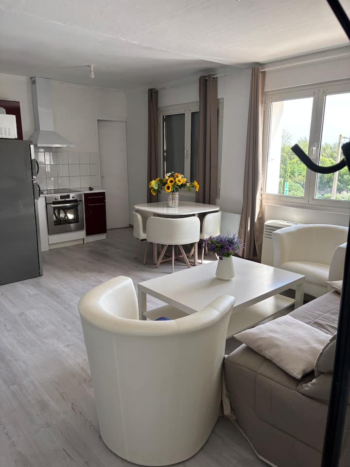 Beau T3 éQuipe Pour 7, à 15 Minutes Des Plages - Béziers