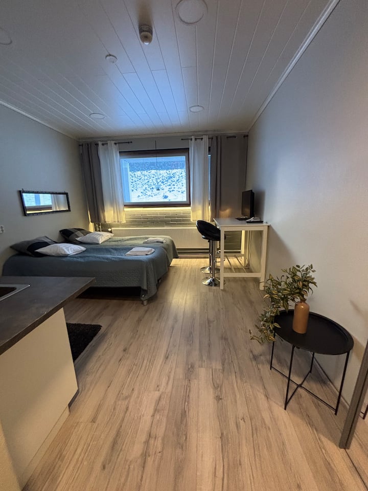 Moderni Ja Viihtyisä Studio! - Sastamala