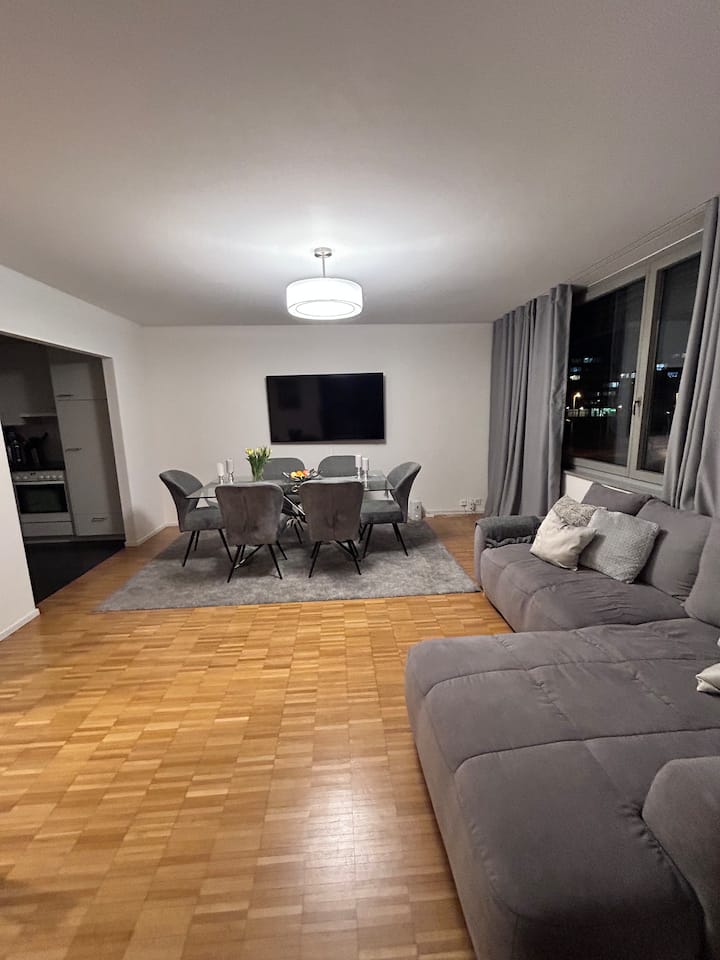Elegante Wohnung In Basel - Basel