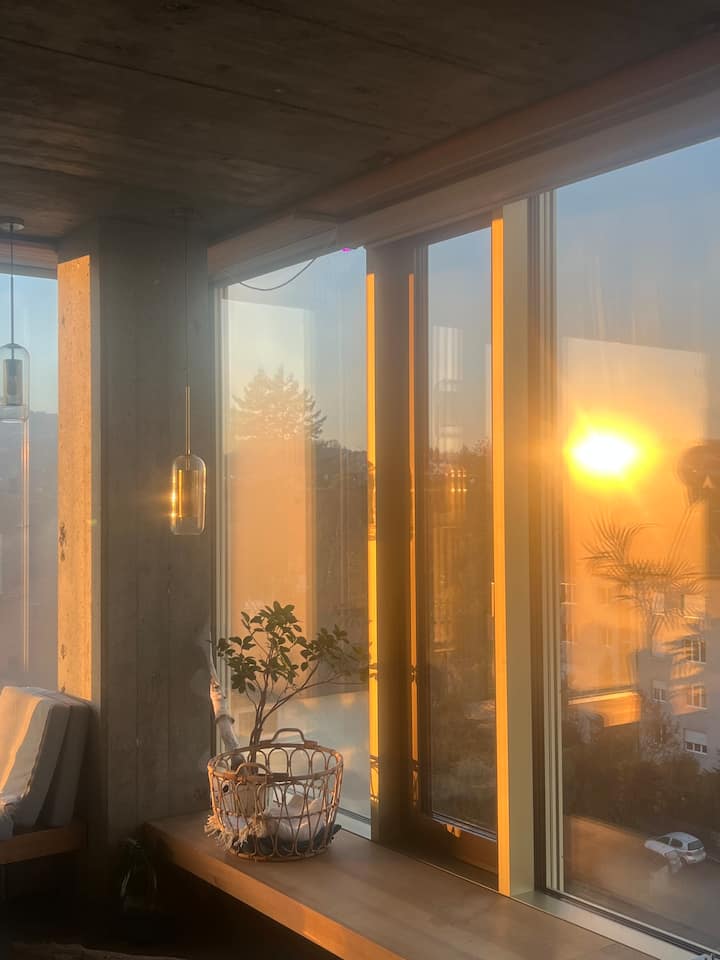 Unique Designer Loft - Berne