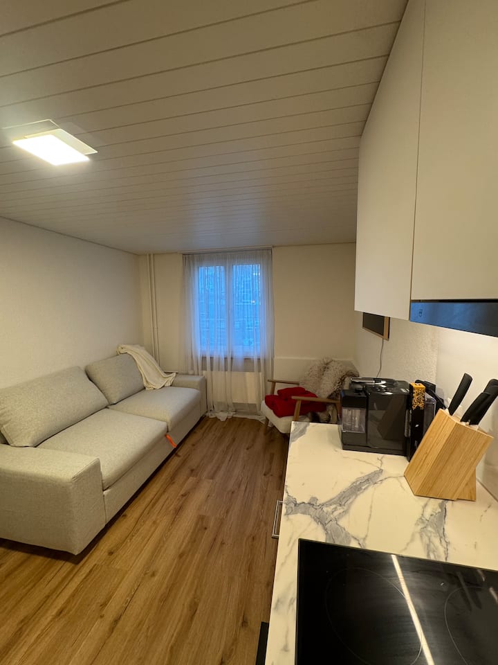 Renovierte 2-zimmer Ferienwohnung Nahe Andermatt - Andermatt