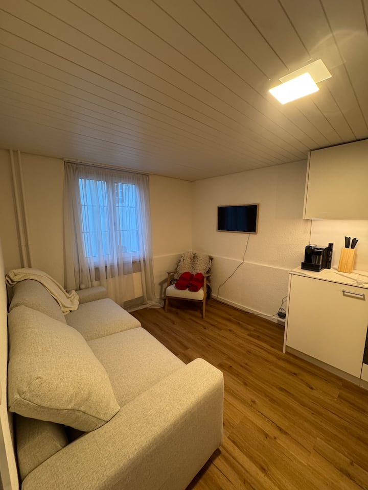 Gemütliche Ferienwohnung Nahe Andermatt - Andermatt