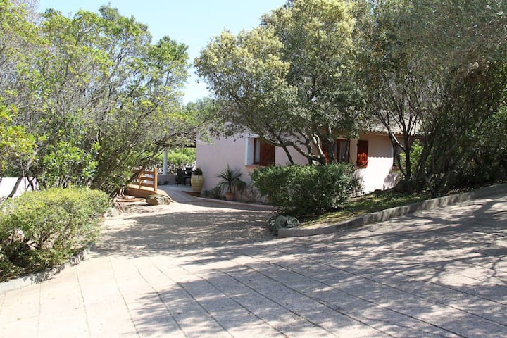 Villa, Proche Plages Pinarello / St Cyprien - Lecci