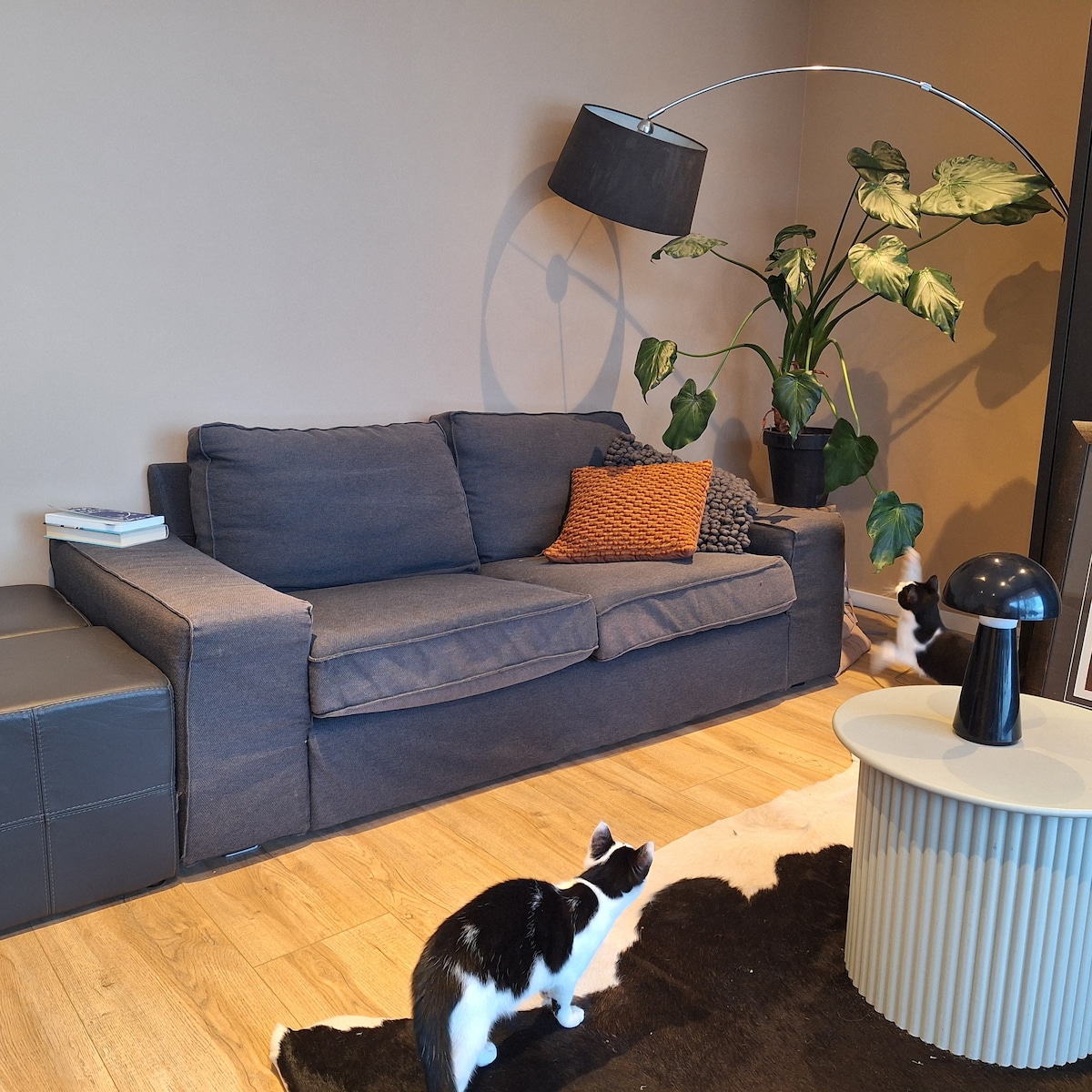 Comfortable room with beautiful views in Groningen - Houses for Rent in ...
