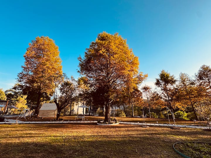 Lulu微居露營區 - 푸리 진