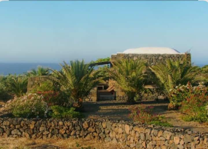 Dammuso Agricola Pineda - Pantelleria