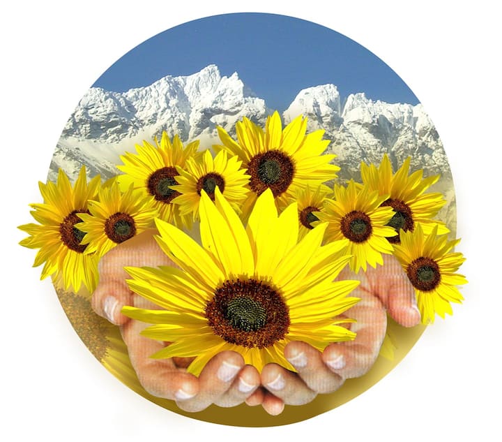 Los Girasoles El Bolson - El Bolsón