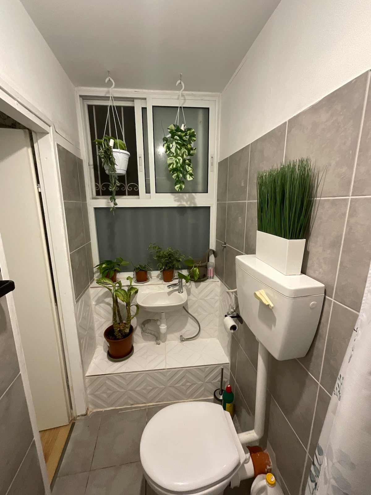 Galerie verte - Appartements à louer à Haïfa, Haifa District, Israël ...