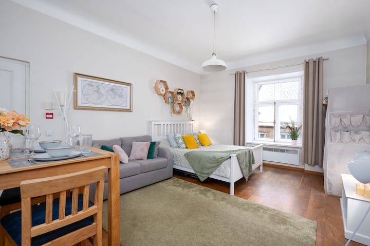 Cozy & Charming Old Town Gem - Talín