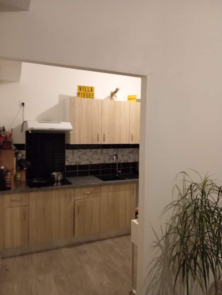 Studio Cosy Au Coeur De Gaillac - Gaillac