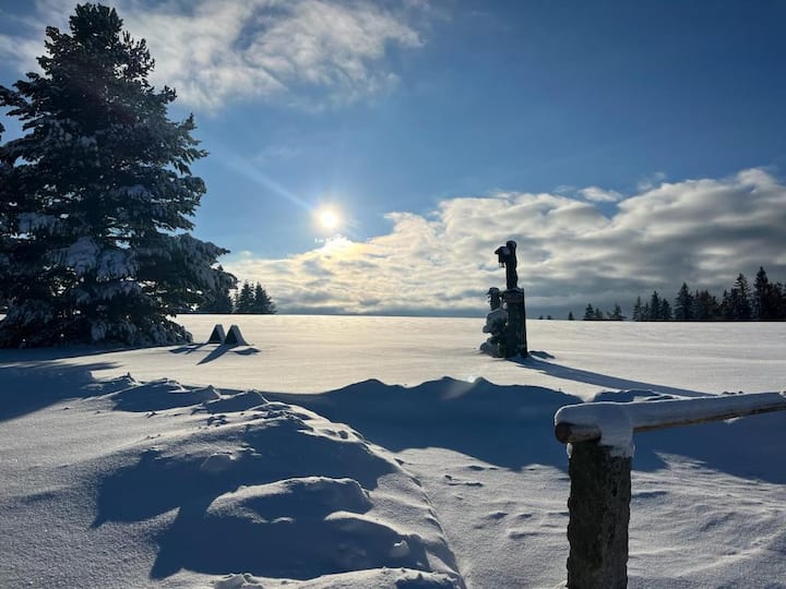 Ferienwohnung Am Kanadablick - Schneeberg