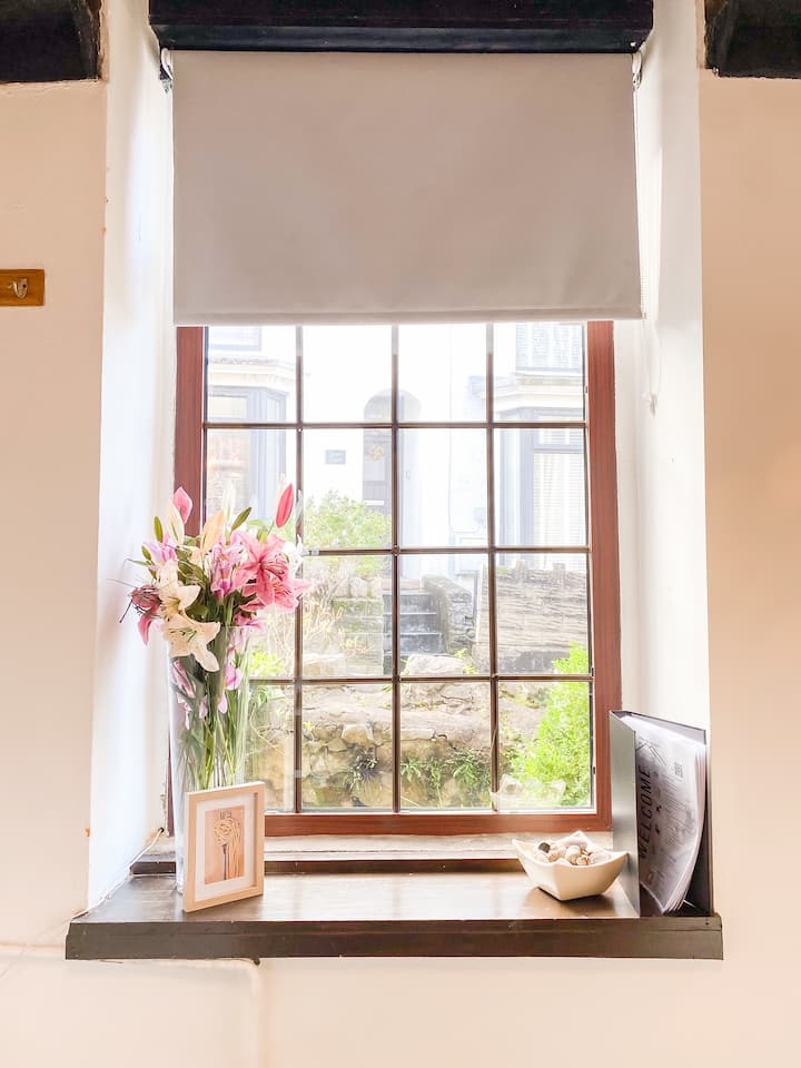 Mumbles Cottage Like House- 4 Perfect Walks & Dogs - The Mumbles