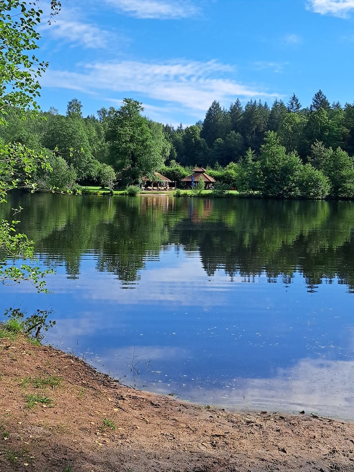 Wasgauer Felsen Und Seenland - Fischbach bei Dahn