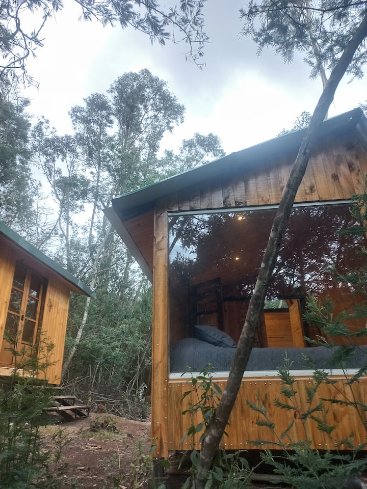 Cabaña Bosque Venado De Oro - Guatavita