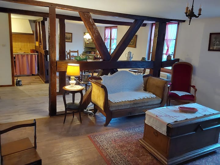 Voyage En Alsace Chez Gaby - Ribeauvillé