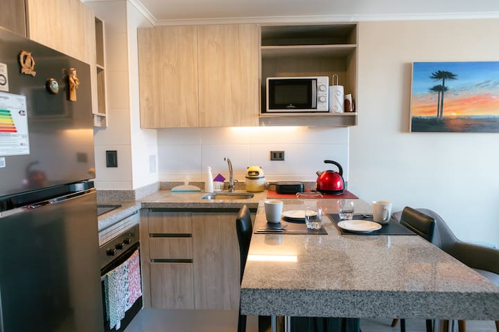 Downtown Apt: Calm, Comfort & Private Parking - Temuco