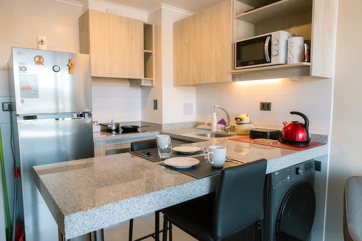 Downtown Apt: 1 Br + 1 Ba + Private Parking - Temuco