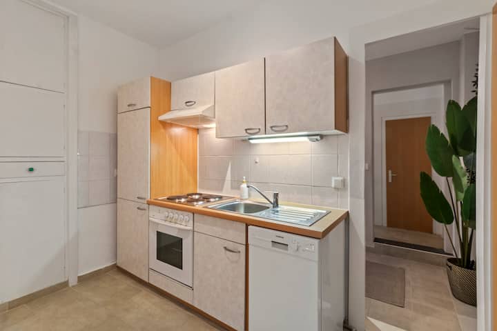 Central Vienna Apartment | U4 In Minutes | Wi-fi - Bécs