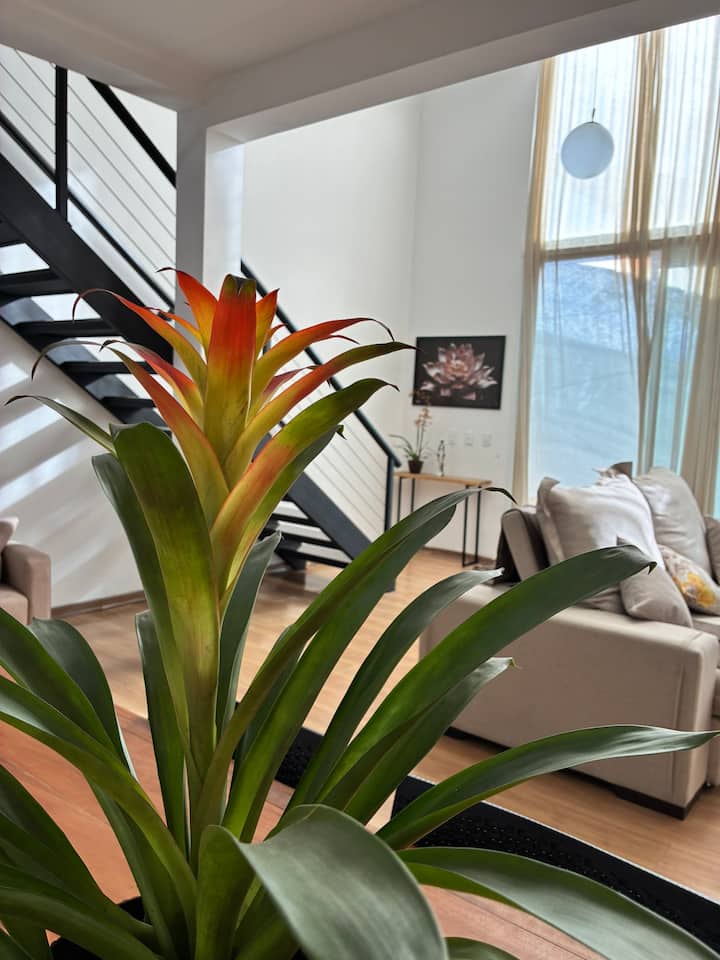 Sobrado Jabuticabas - Itatiba