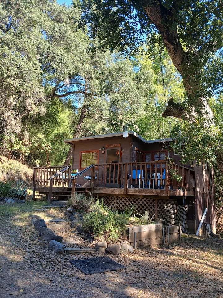 Sparrow's Nest - San José