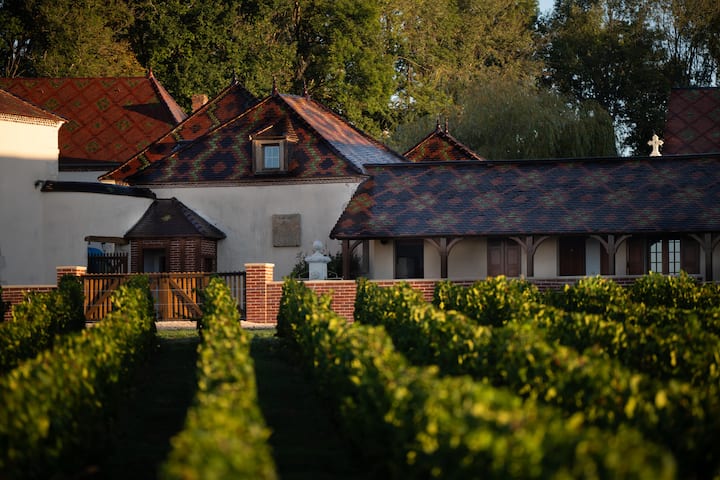 Chateau De La Grange Arthuis - La Fontaine - Saint-Fargeau