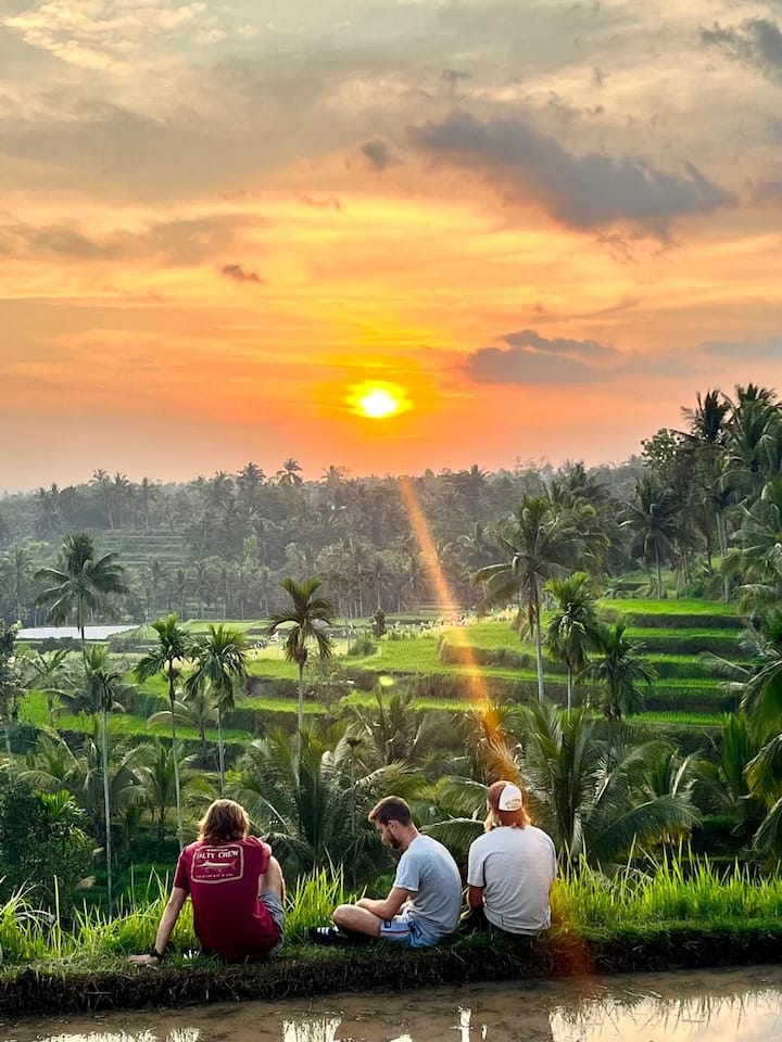 Rural And Rise Field Atmosphere At Bello Bungalows - Lombok