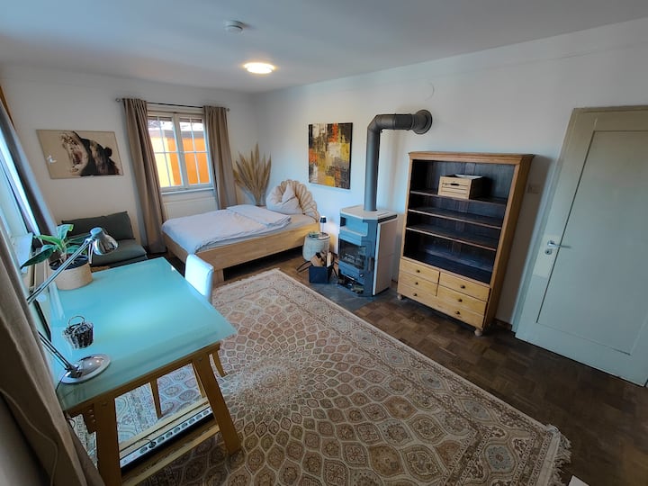 Stilvolles Kaminzimmer Nähe Flughafen Und Messe - Stuttgart