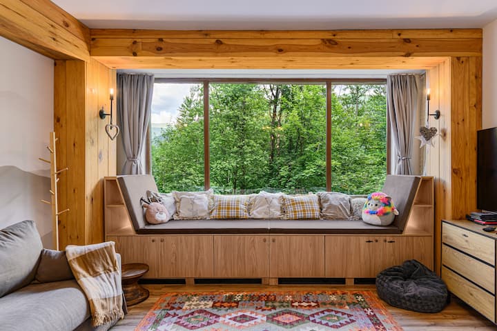 Hublou Home: Panoramic Glass Wall -Whole Floor Gem - Sinaia