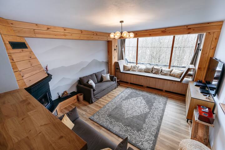 Hublou Home: Panoramic Glass Wall -Whole Floor Gem - Sinaia