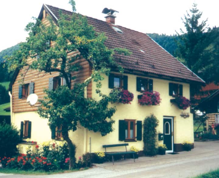 Romantikhaus Zum Dachsteinblick - Abtenau