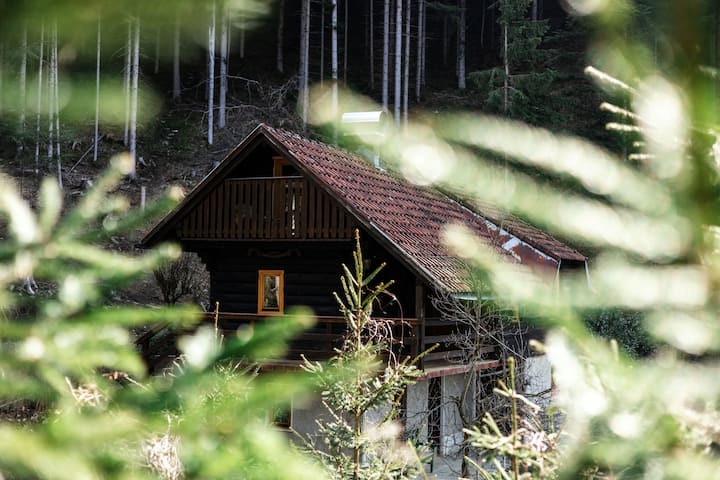 Marjetina Gozdna Hiška - Slovenia
