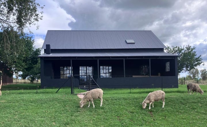 The Black Swan - Rosendal