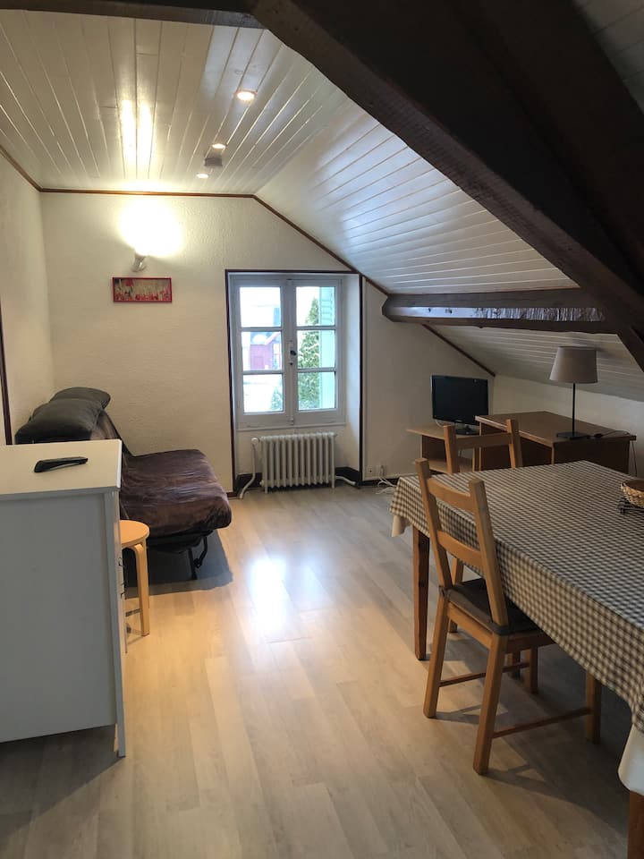 Appartement Rénové Place Du Village 2 à 4 Pers - Autrans