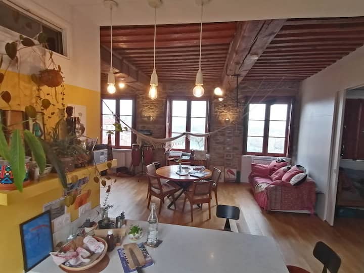 Charmant Appartement Canut Avec Vue Exceptionnelle - Lyon