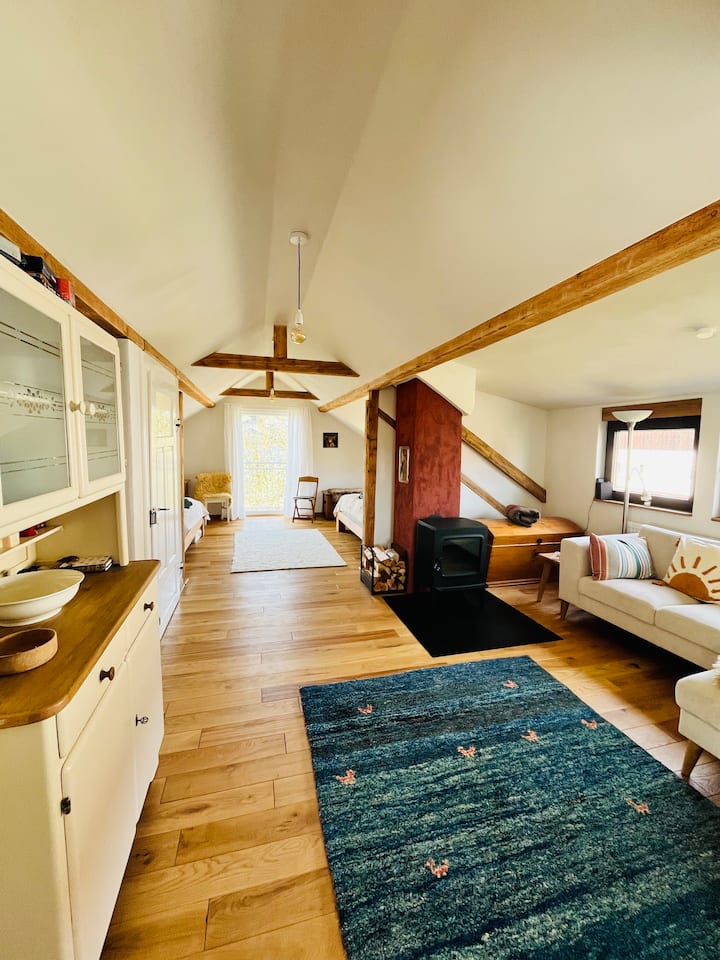 Cosy Loft In Sinsheim/hoffenheim - Sinsheim