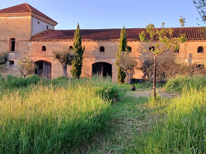 Domaine En Baourès - Gers