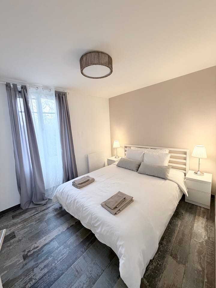 Appartement Charmant Est Lumineux-carouge - Carouge